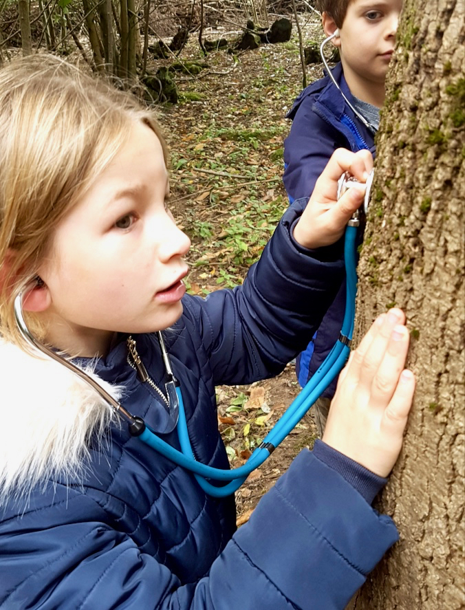 Among The Trees: Body to Body – Climate Museum UK