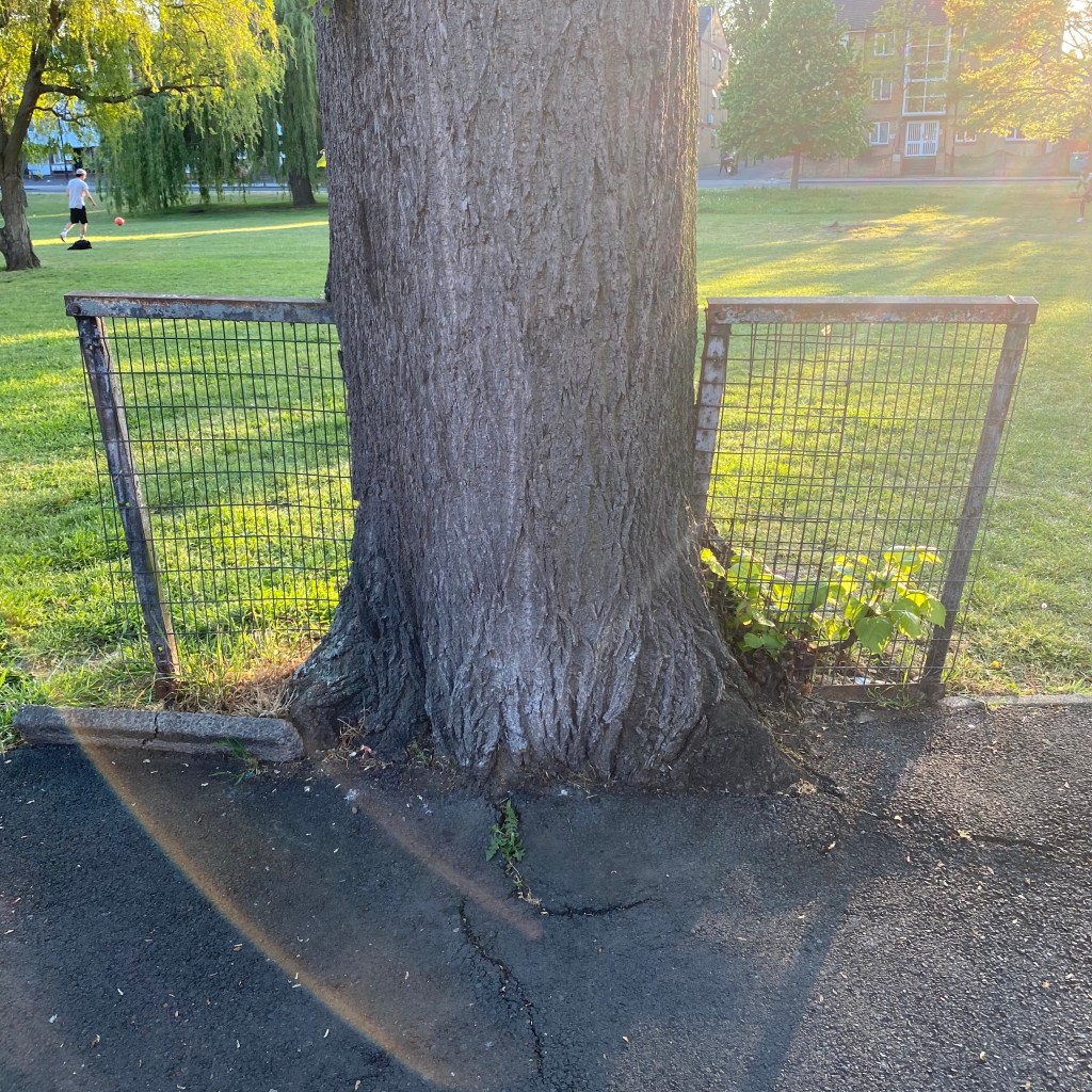 Acts of Tree Kindness: Making Space – Climate Museum UK