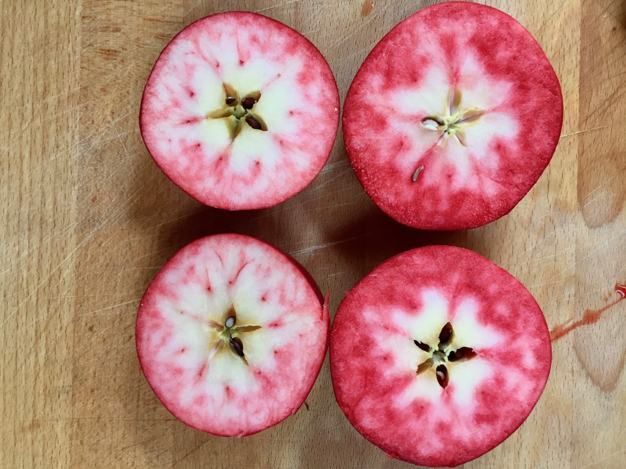 Acts of Tree Kindness: Growing Food – Climate Museum UK