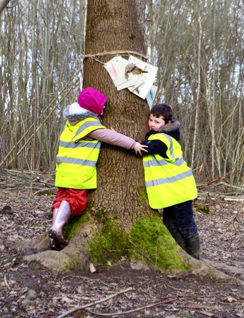 Acts of Tree Kindness: Trees as Sentient Beings – Climate Museum UK