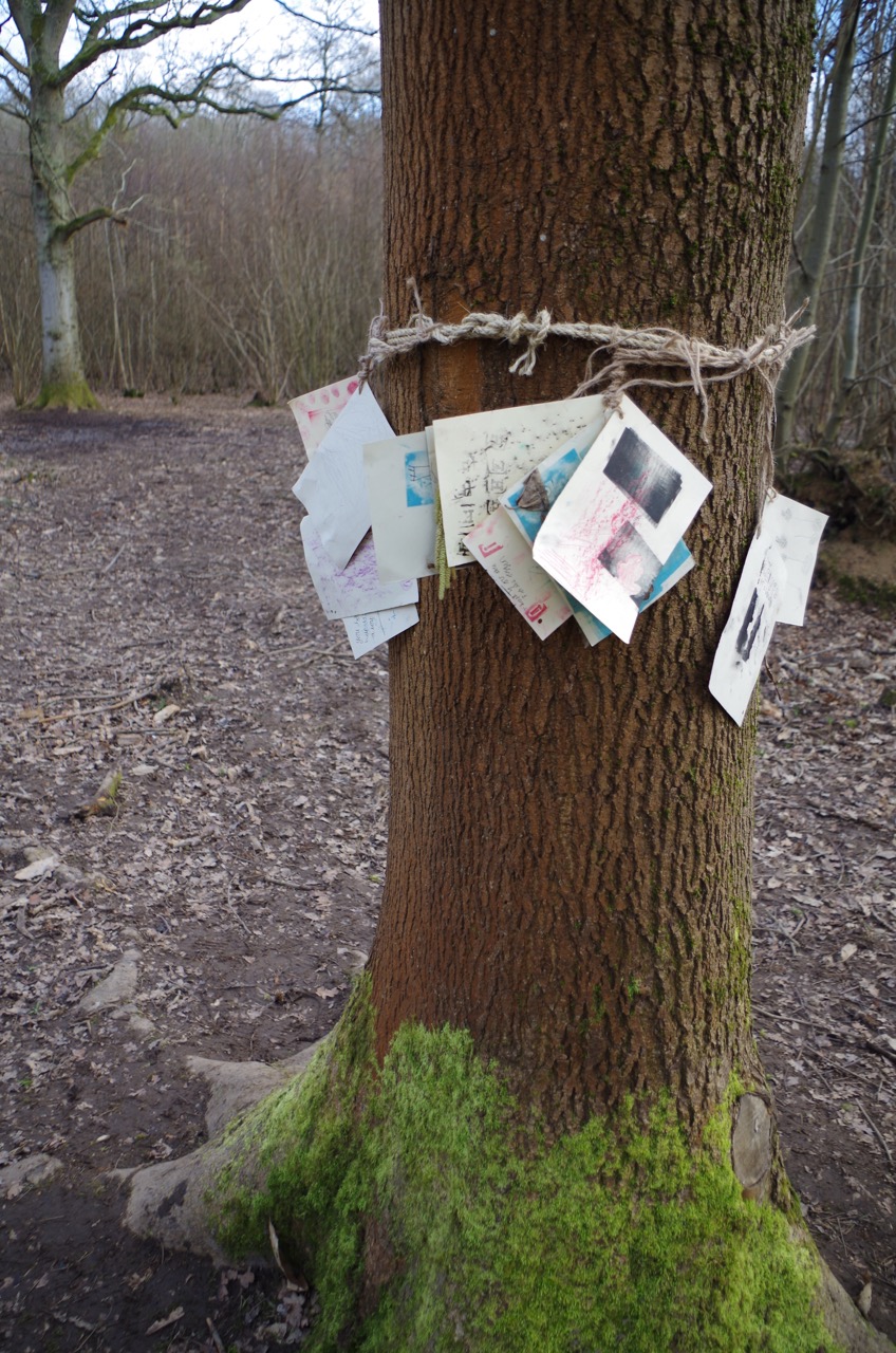 IMGP4813 – Climate Museum UK