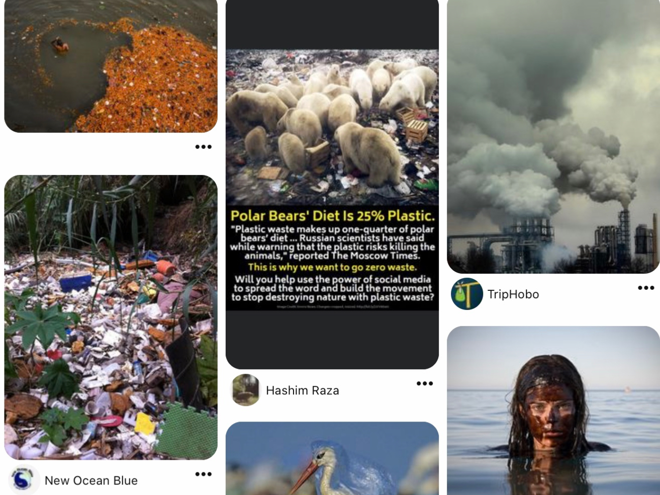 EXPLORING THE EARTH CRISIS – Climate Museum UK