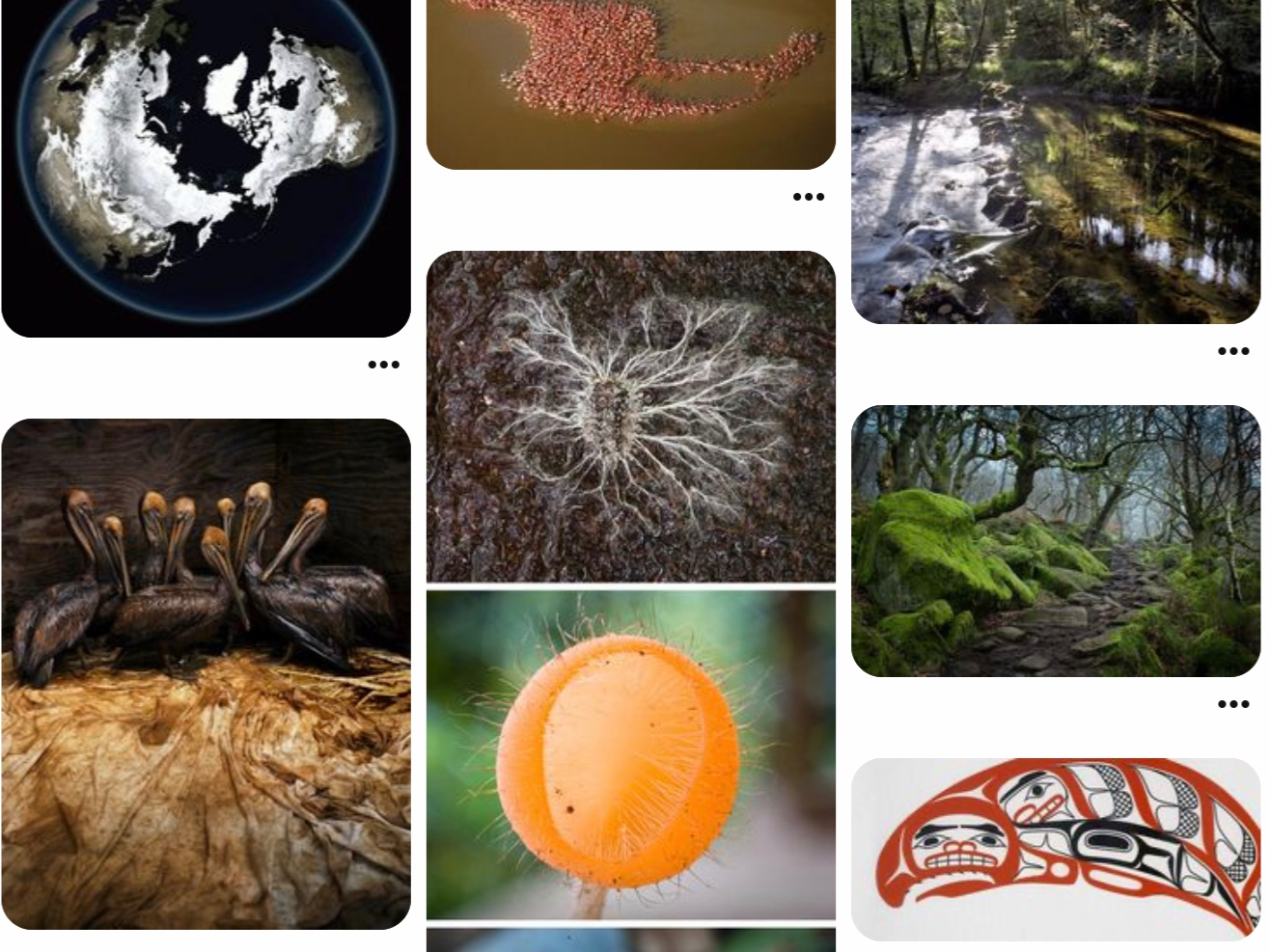 APPRECIATING EARTH – Climate Museum UK