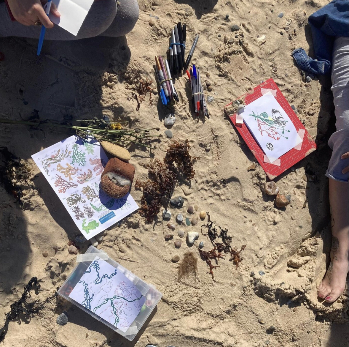 Autumn Equinox Newsletter -2022 – Climate Museum UK